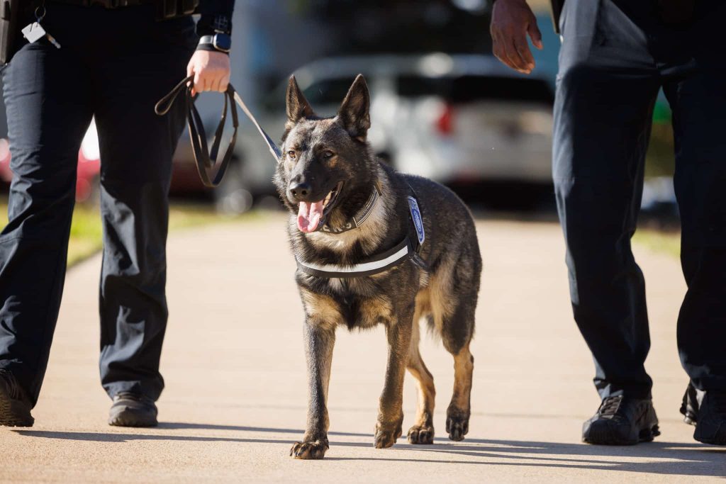 University of Mississippi Medical Center police enlist explosives ...