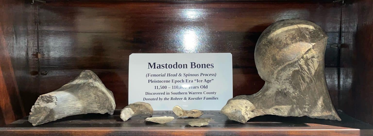Our Land Before Time - Mastodon Bones found in Vicksburg - Vicksburg ...