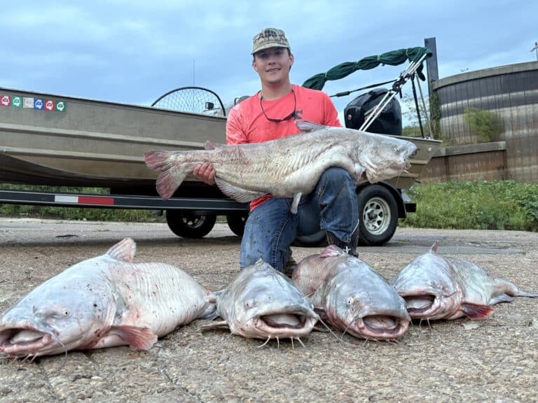Vicksburg native reels in five huge catfish on the Mississippi River ...