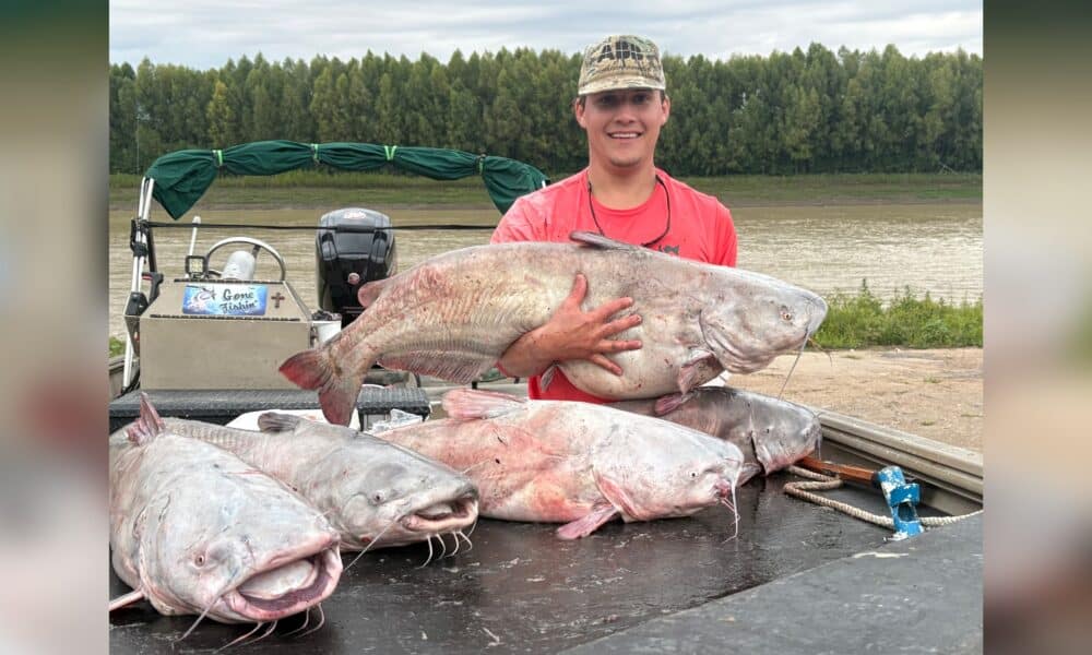 Vicksburg native reels in five huge catfish on the Mississippi River ...